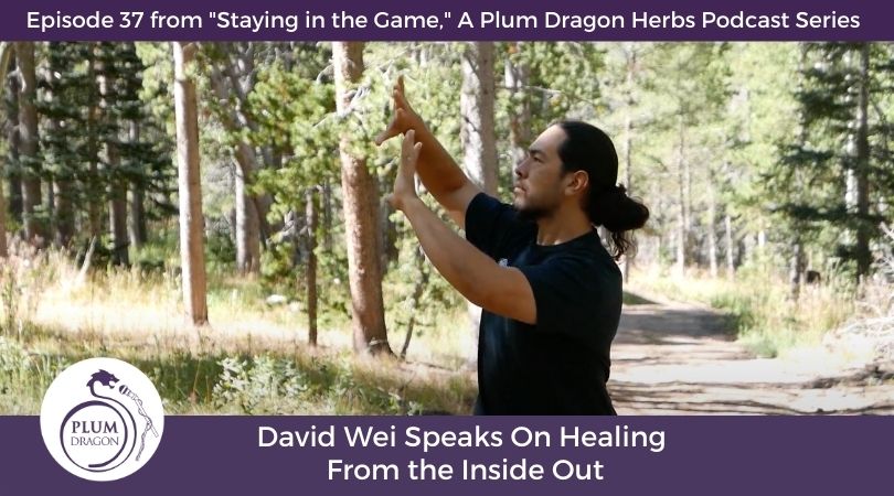EP37 David Wei Speaks On Healing From the Inside Out – Plum Dragon Herbs