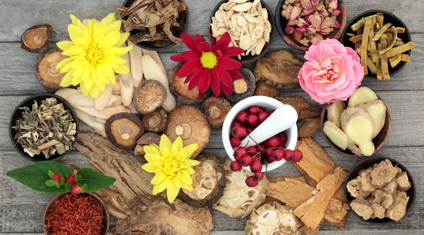 Acupuncture and Herbs for Spring: What You Need to Know – Plum Dragon Herbs