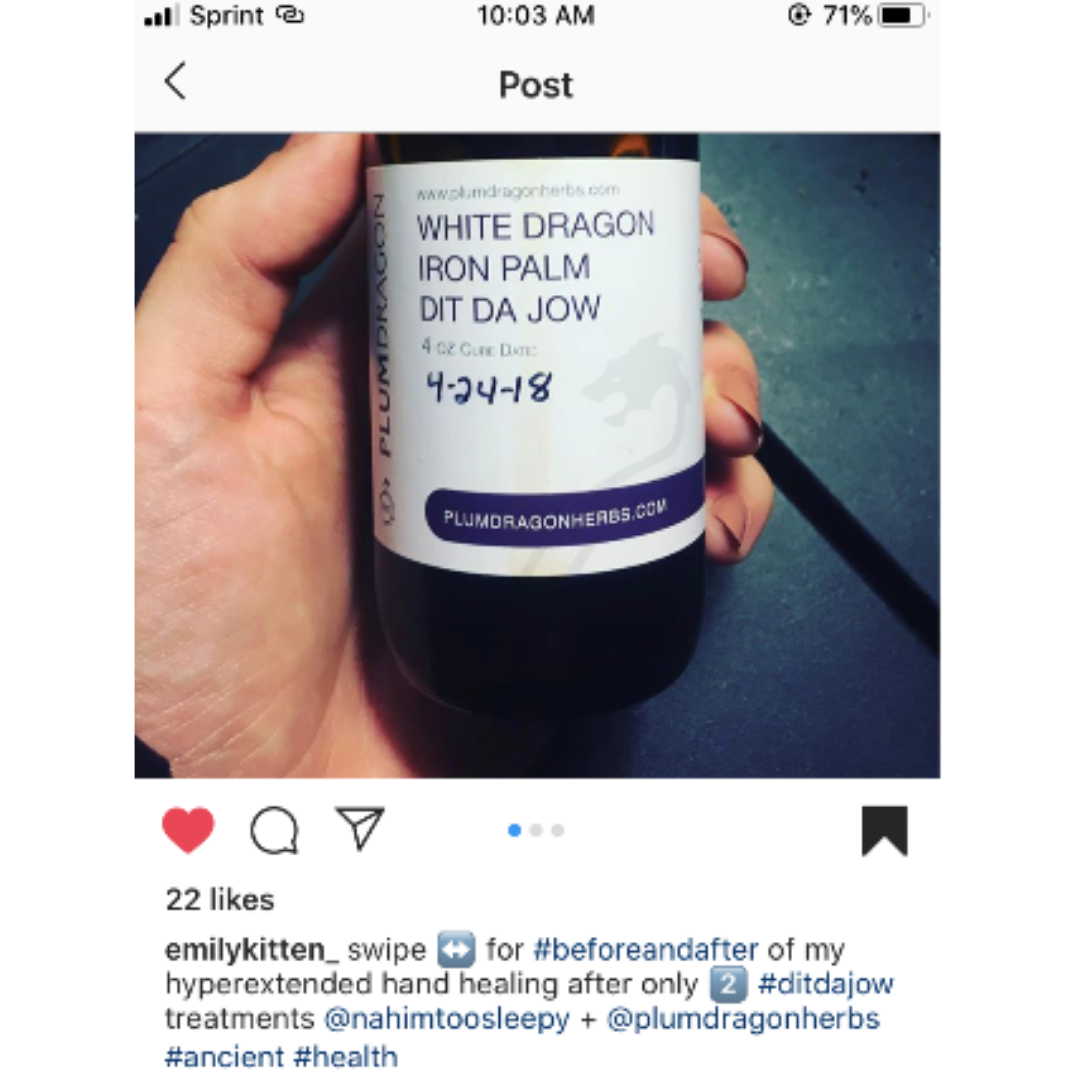 Dit Da Jow | White Dragon Iron Palm Formula – Plum Dragon Herbs