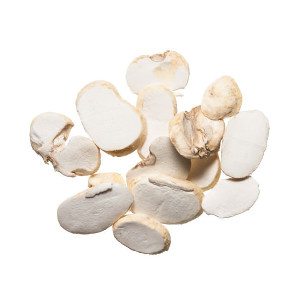 Zhe Bei Mu (Fritillaria) – Plum Dragon Herbs