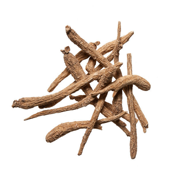 Mei Guo Ren Shen (American Ginseng) – Plum Dragon Herbs