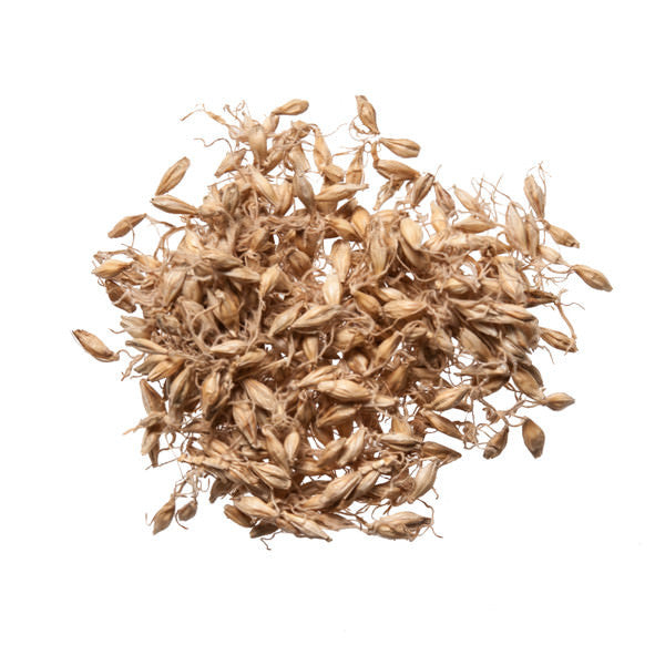 Mai Ya (Barley Sprouts) – Plum Dragon Herbs