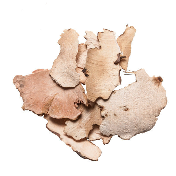 Tu Fu Ling Herb | Glabrous Greenbrier | Plum Dragon Herbs