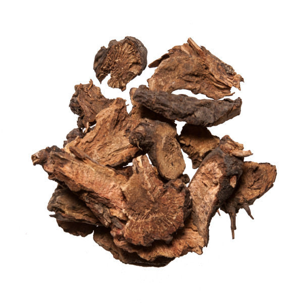 Di Yu Herb | Garden Burnet Root | Plum Dragon Herbs