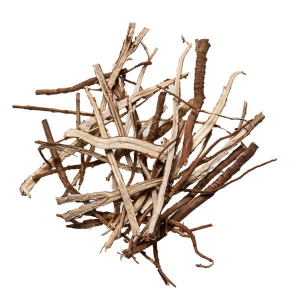 Chai Hu Herb | Thorowax Root (Bupleurum Chinese) – Plum Dragon Herbs